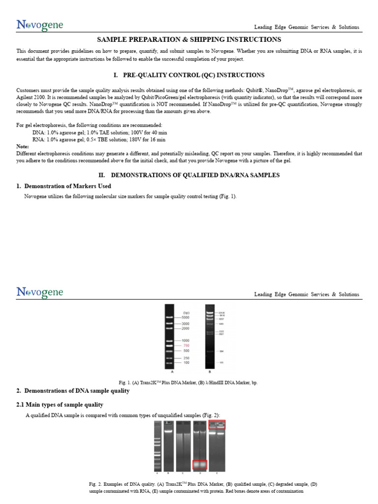 Novogene Sample Submission Guide | PDF | Gel Electrophoresis | Agarose ...