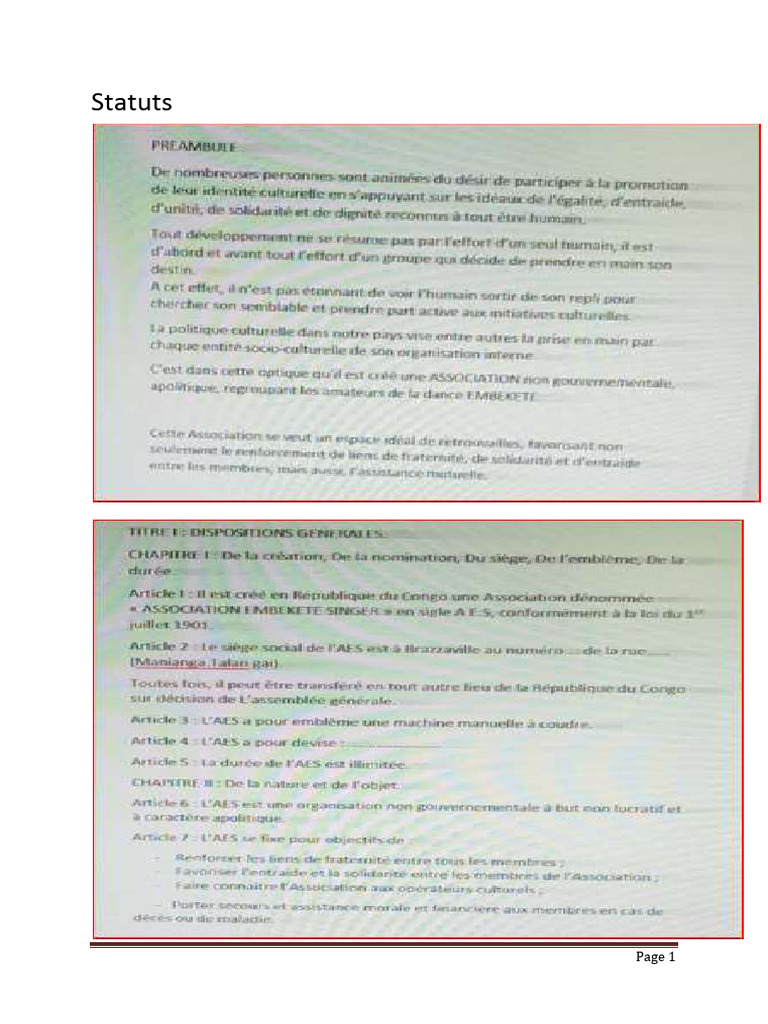 Règlement Et Statuts - Reg | PDF