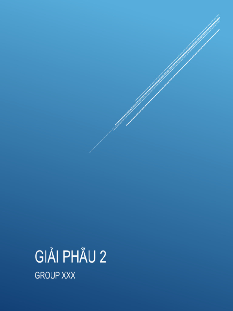 Đề Thi Lại GP2 | PDF
