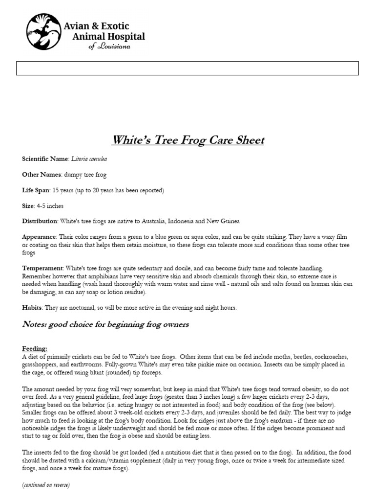 White Tree Frog Care Sheet | PDF | Frog
