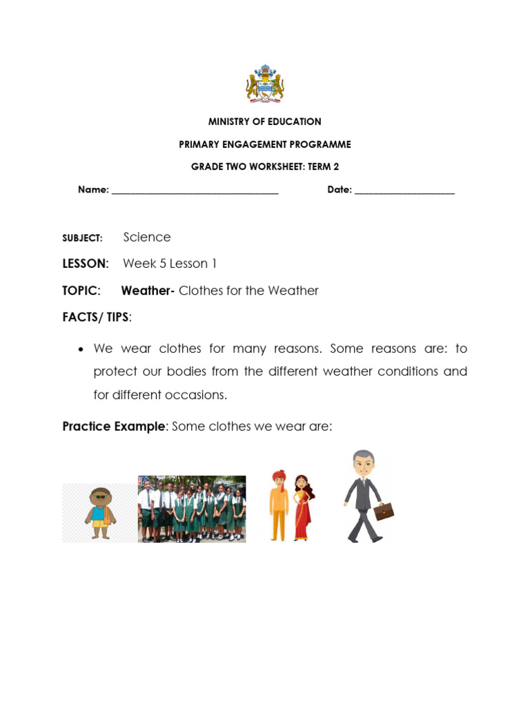 Grade 2 Science Worksheets: Term 2 | PDF | Water | Clothing