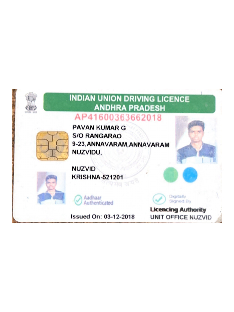Indian Union Driving Licence | PDF