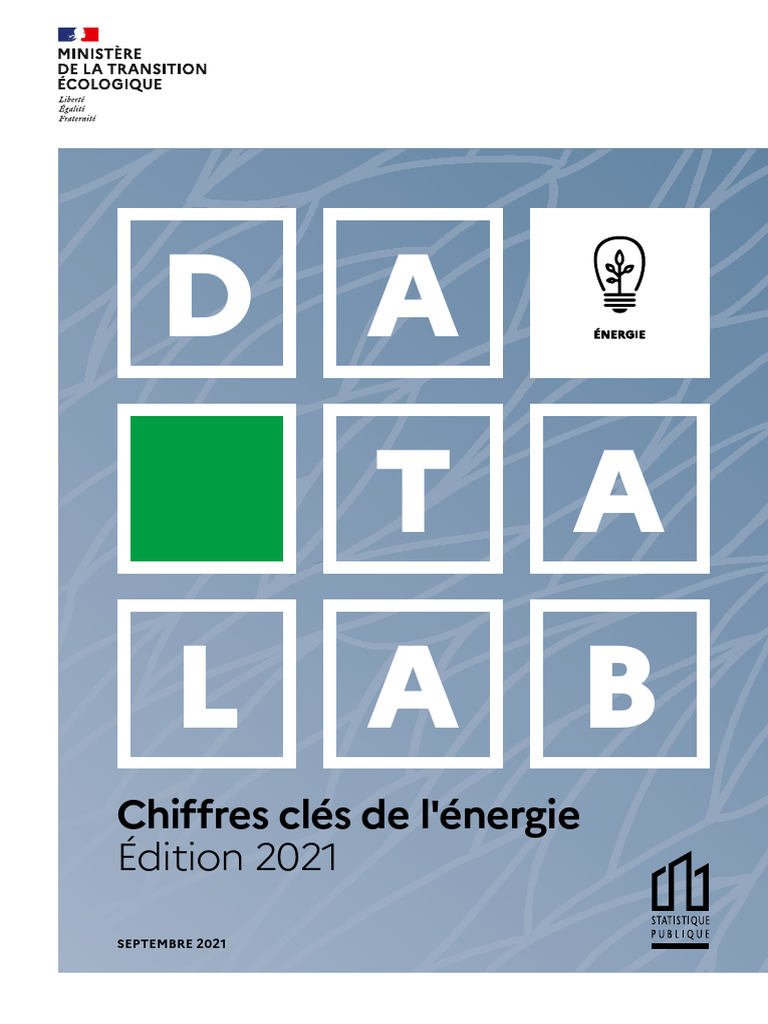Chiffres Cles de L Energie Edition 2021 | PDF Chiffres Cles de L Energie Edition 2021 | PDF