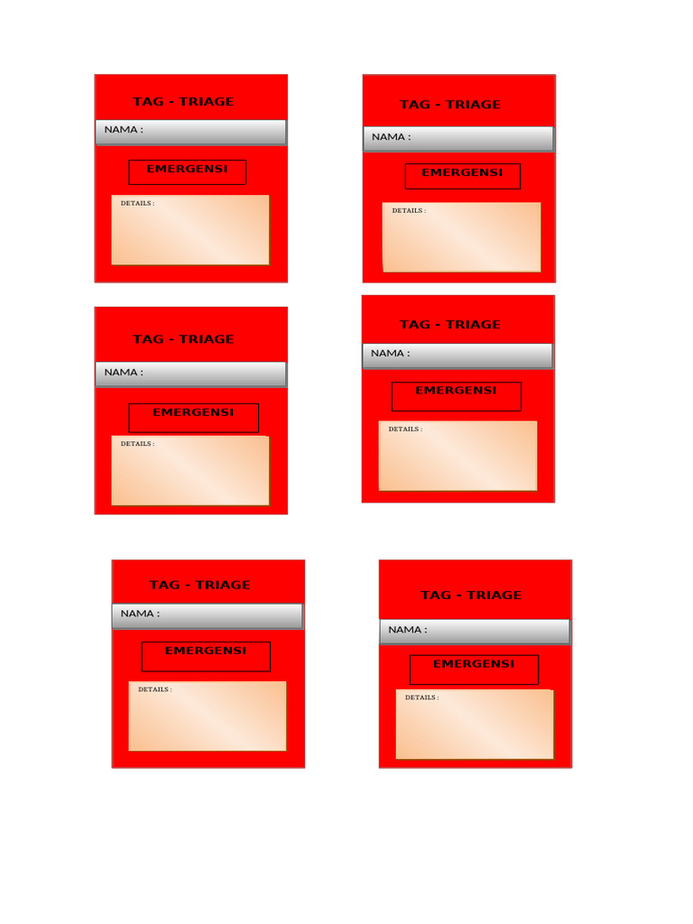 Name Tag Triage | PDF