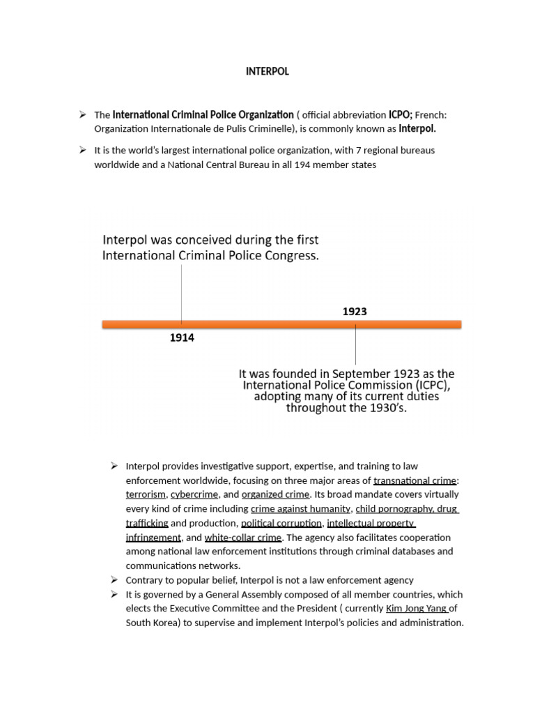 Interpol Final | PDF