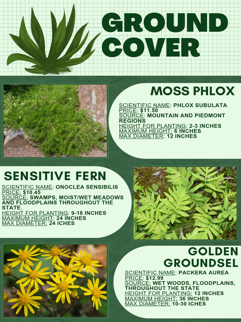 Green Light Illustrative Graphic Reduce Reuse Recycle Requirement ...