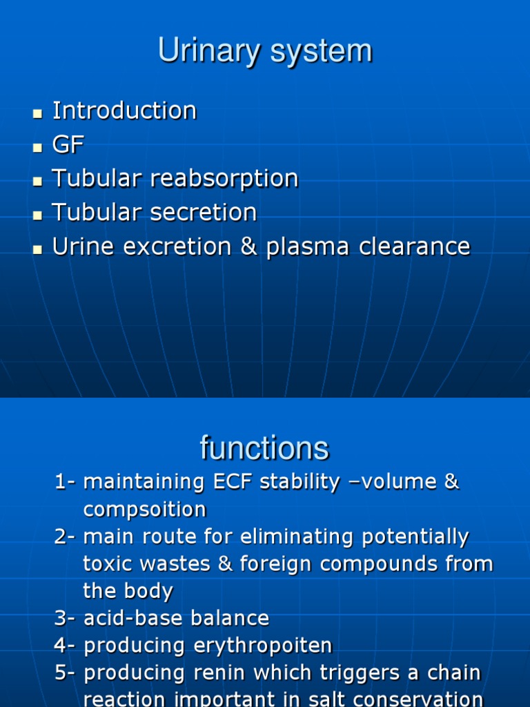 Urinary System: GF Tubular Reabsorption Tubular Secretion Urine ...