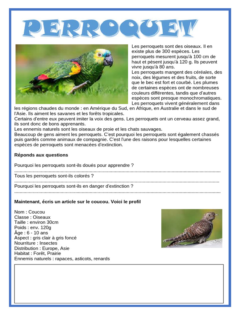 Lecture Facile Perroquet - 155432 | PDF
