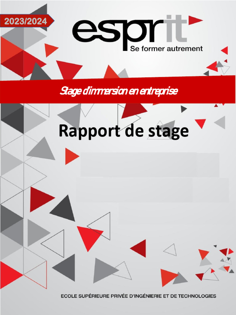 Rapport de Stage D'immersion | PDF