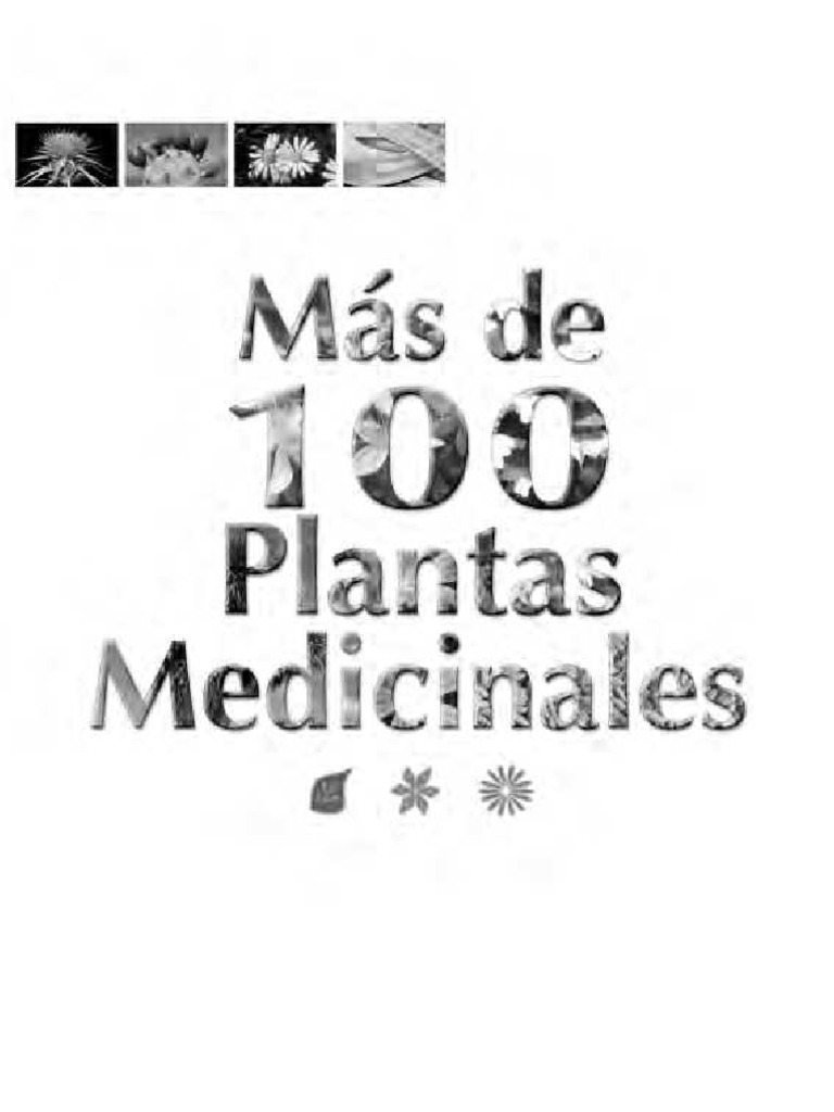 100 Plantas Medicinales | PDF