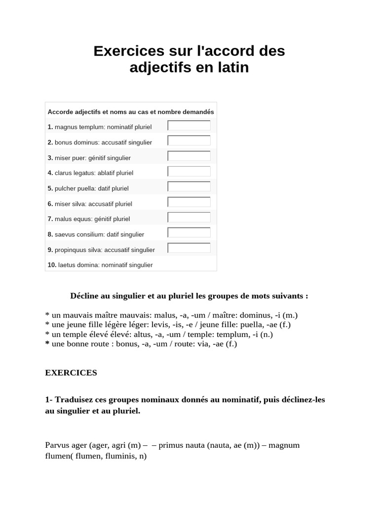 Adjectifs Latin | PDF