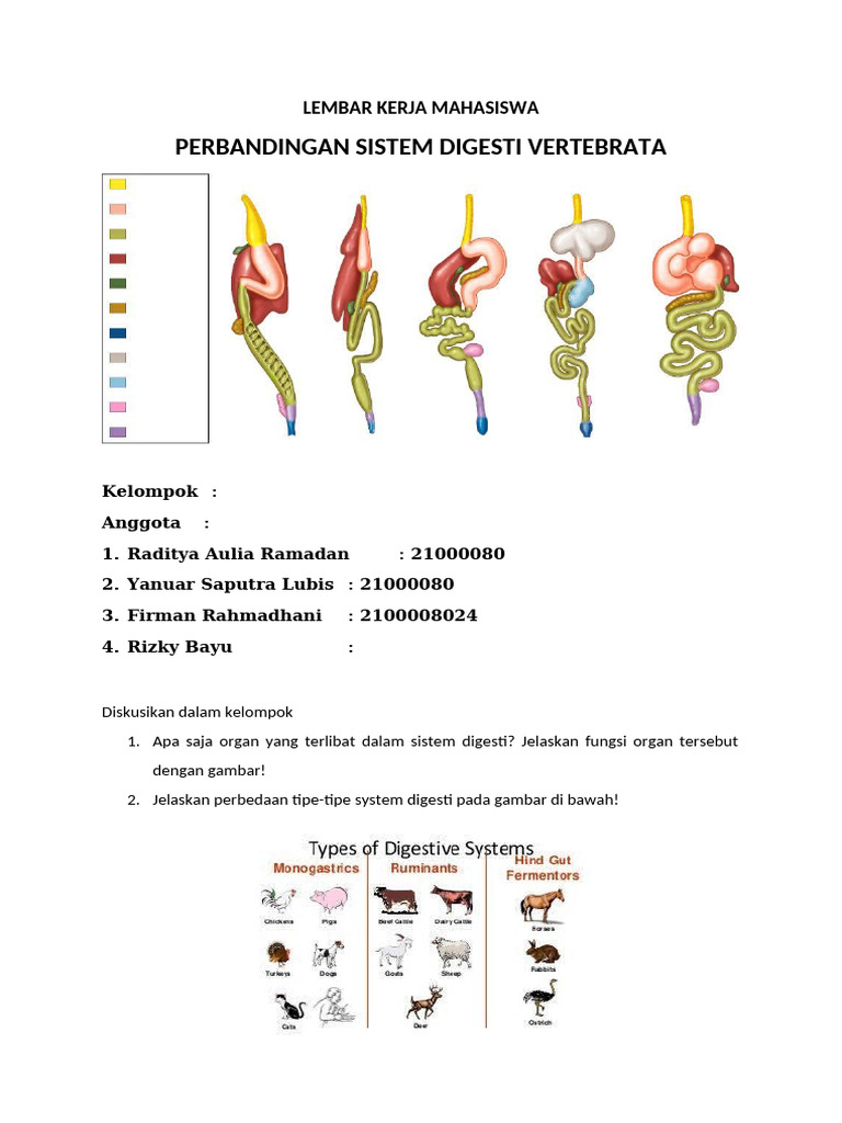 kel. 10_perbandingan sistem digesti vertebrata | PDF