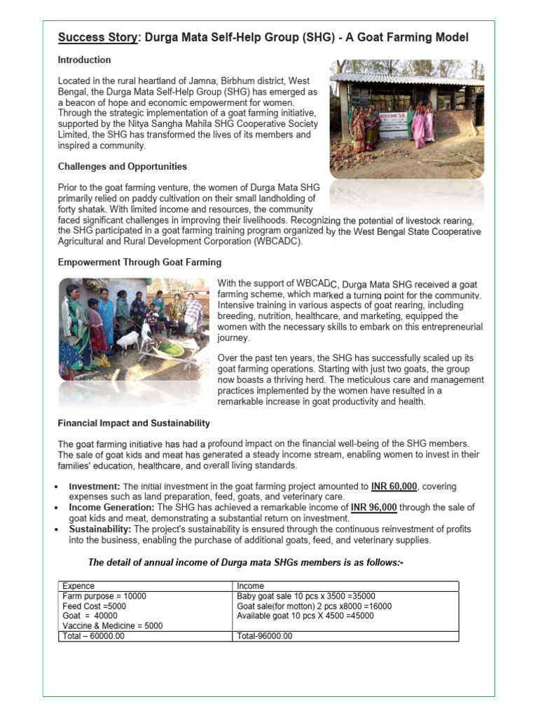 Success Story Maa Durga SHG | PDF
