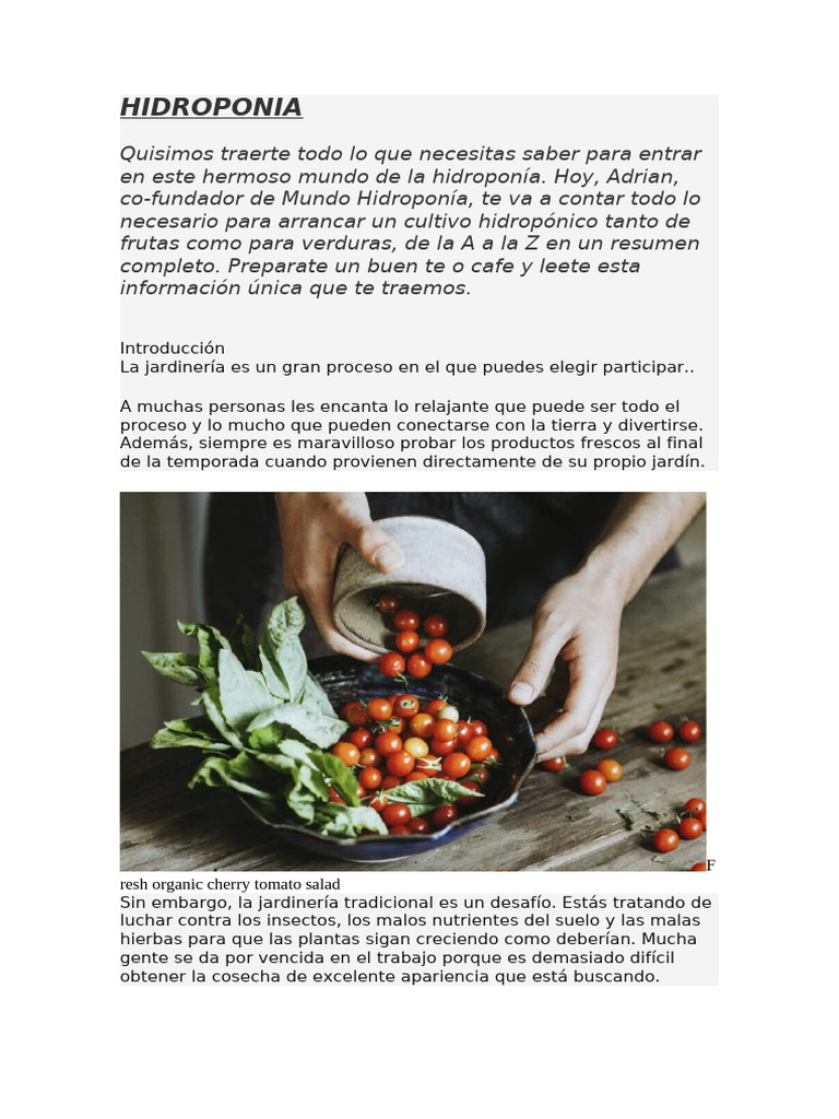 HIDROPONIA | PDF