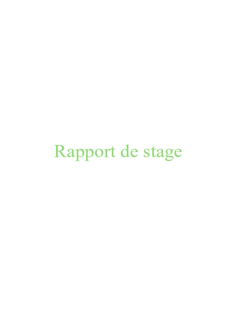 Copie de Brandon 1 Er Jet Rapport de Stage | PDF