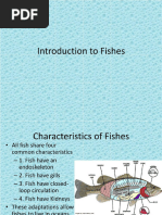 LESSON-4_MORPHOLOGY-OF-COMMON-FISH_ITS-PARTS-FUNCTIONS | PDF | Fish ...