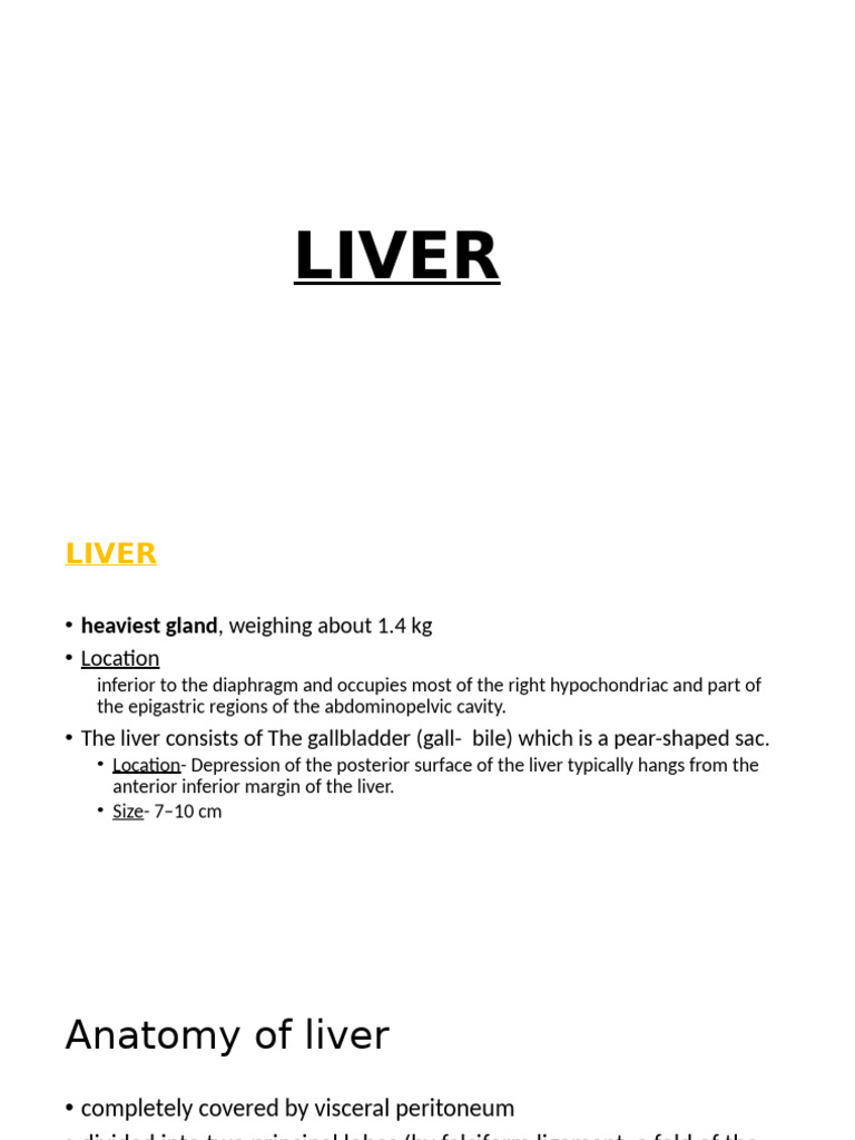 Liver | PDF