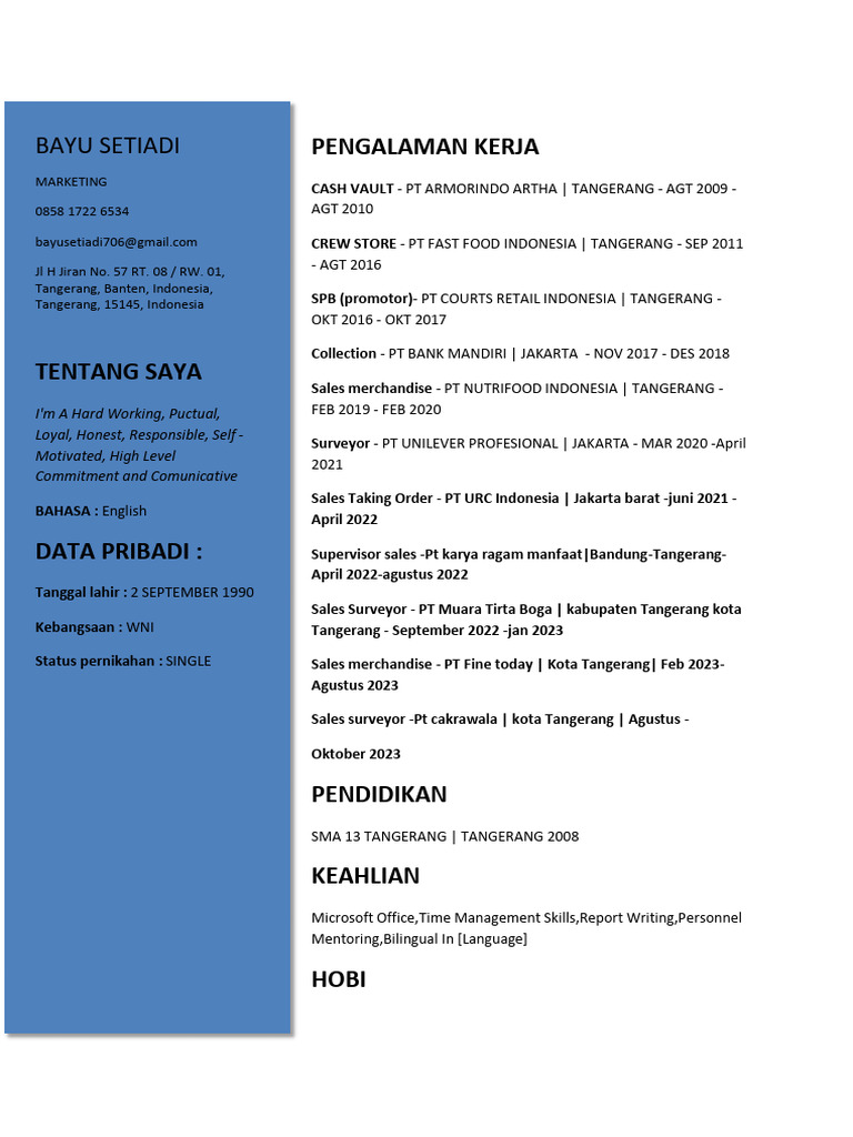 CV Bayu PDF | PDF