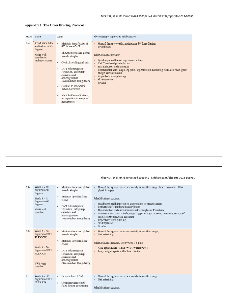 Cross Bracing Protocol | PDF