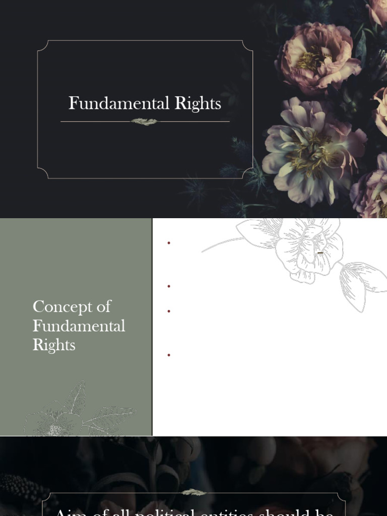 Fundamental Rights Background Intro Classification | PDF