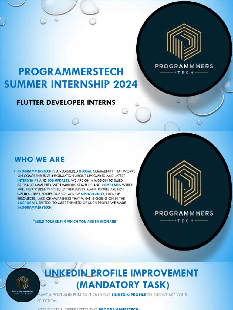 Flutter Developer ProgrammersTech Summer Internship 2024 | PDF