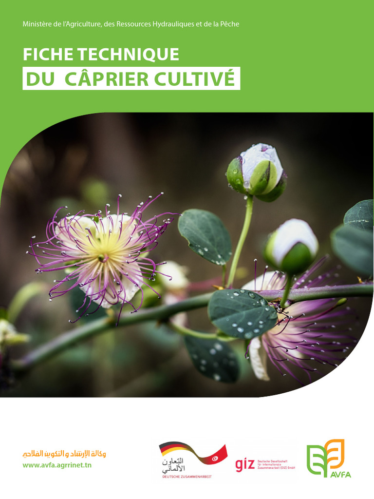 Fiche Pratique Caprier | PDF