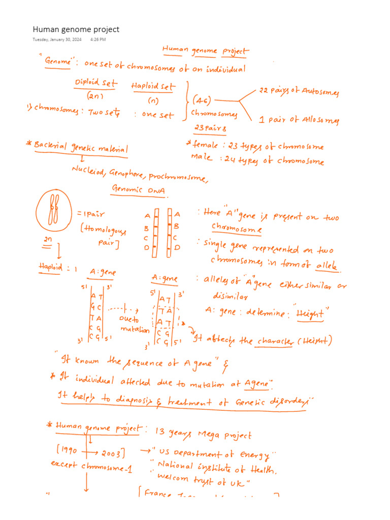 Human Genome Project (Notes) | PDF