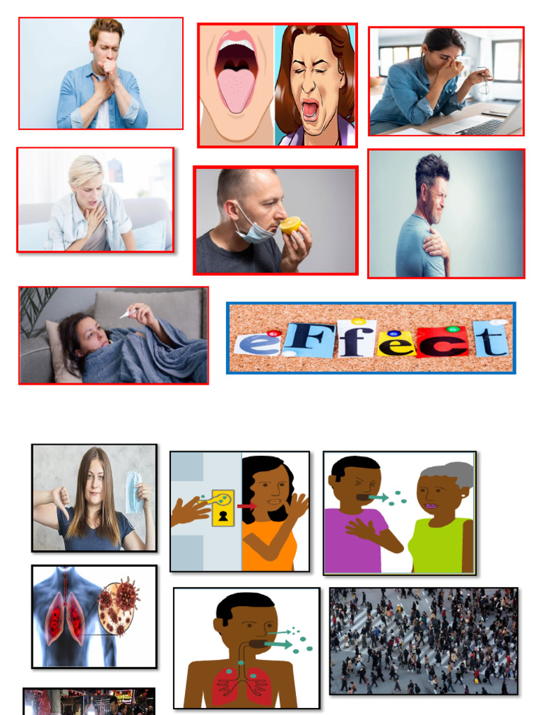 Cause and Effect | PDF