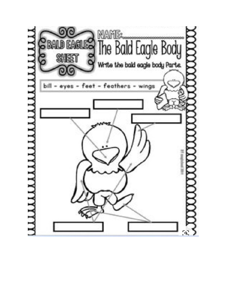 Bald Eagle Exercise | PDF