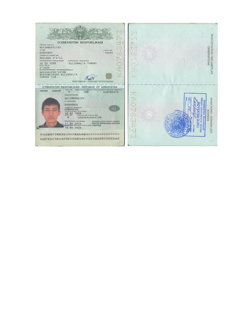 Passport | PDF