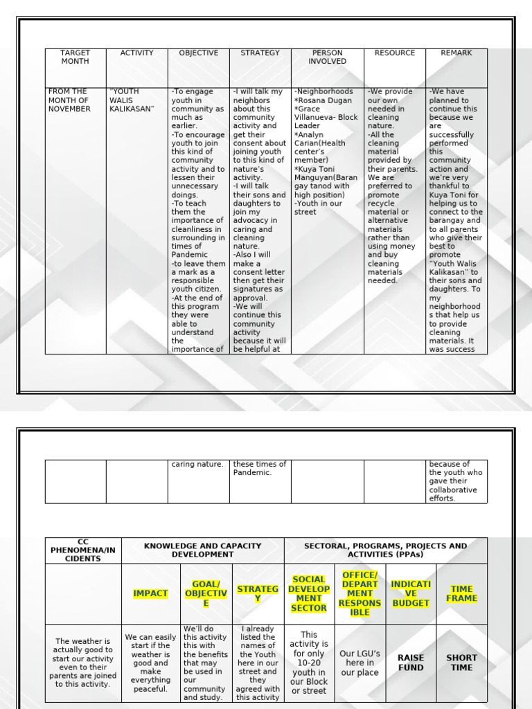 Community action plan 2 | PDF