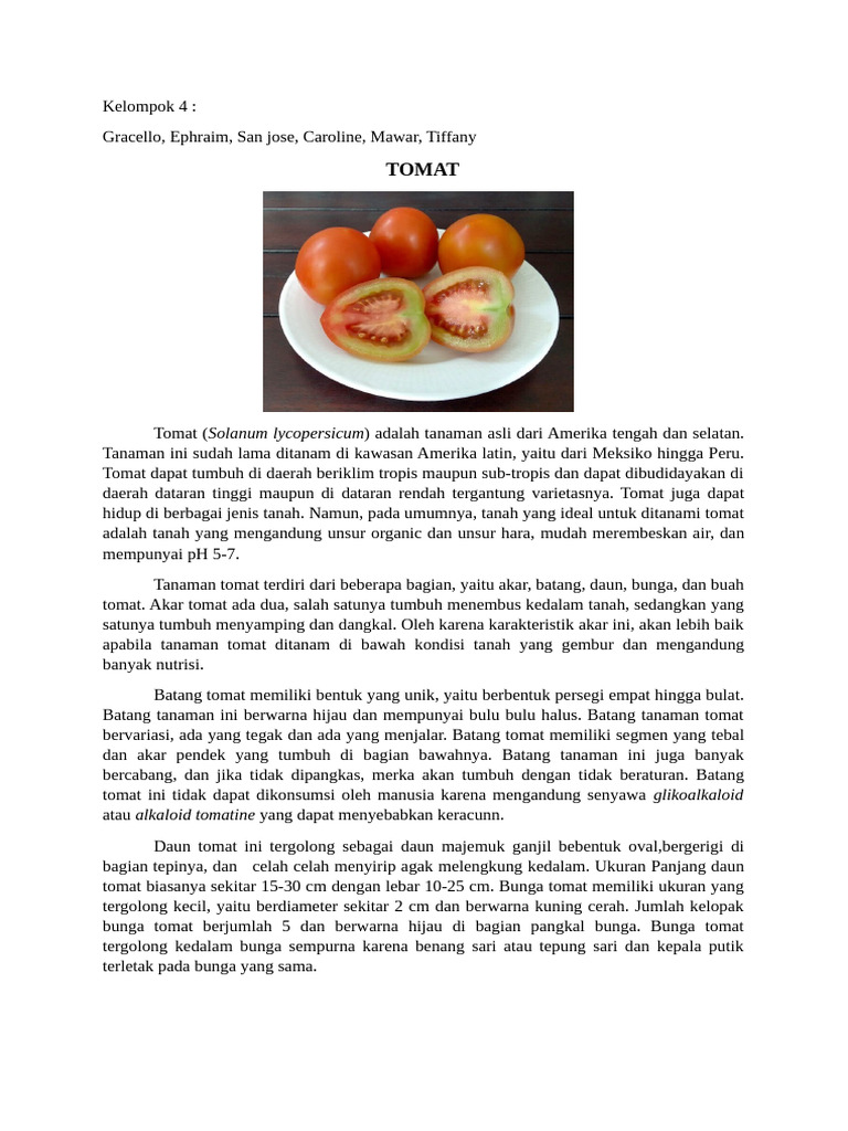 Kelompok 4 TOMAT | PDF