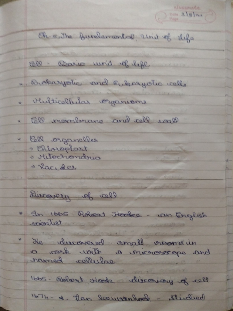 Biology Running Notes | PDF