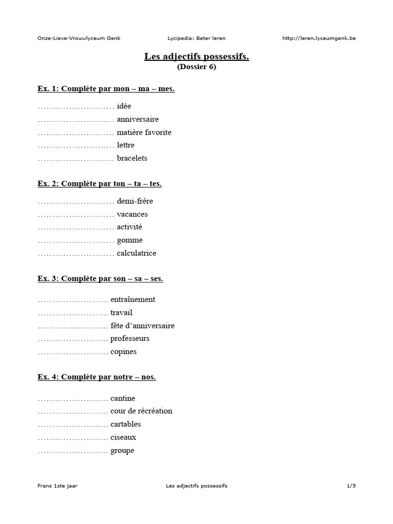 Les Adjectifs Possessifs (Dossier 6) | PDF