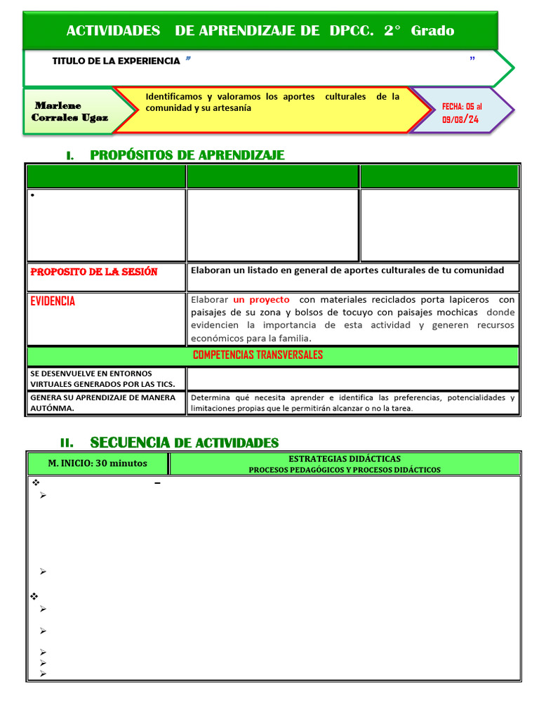 Actividad N°1 DPCC 2° | PDF