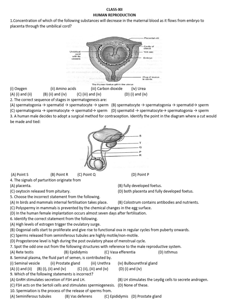 Human Reproduction Test | PDF