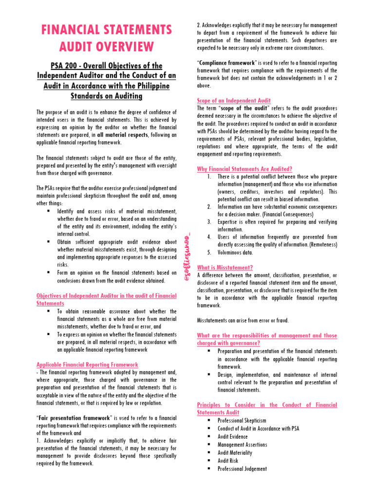 FS AUDIT - OVERVIEW | PDF