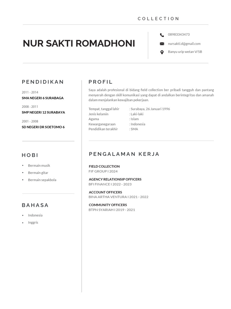 CV Baru | PDF