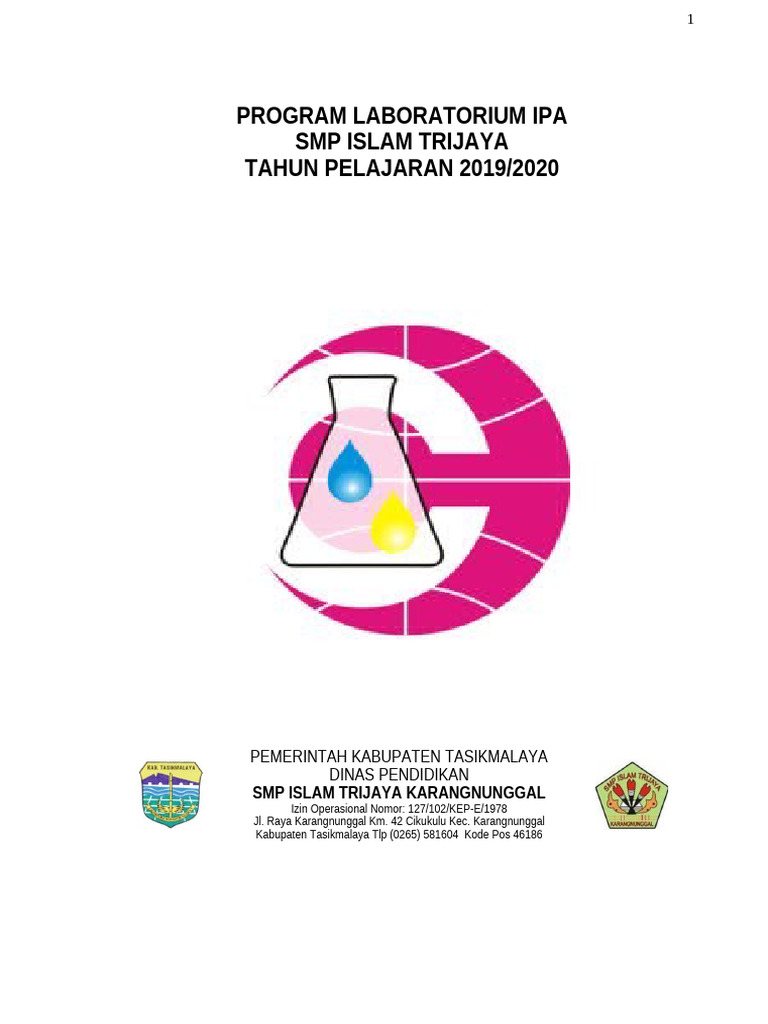 Program Ipa SMP I | PDF