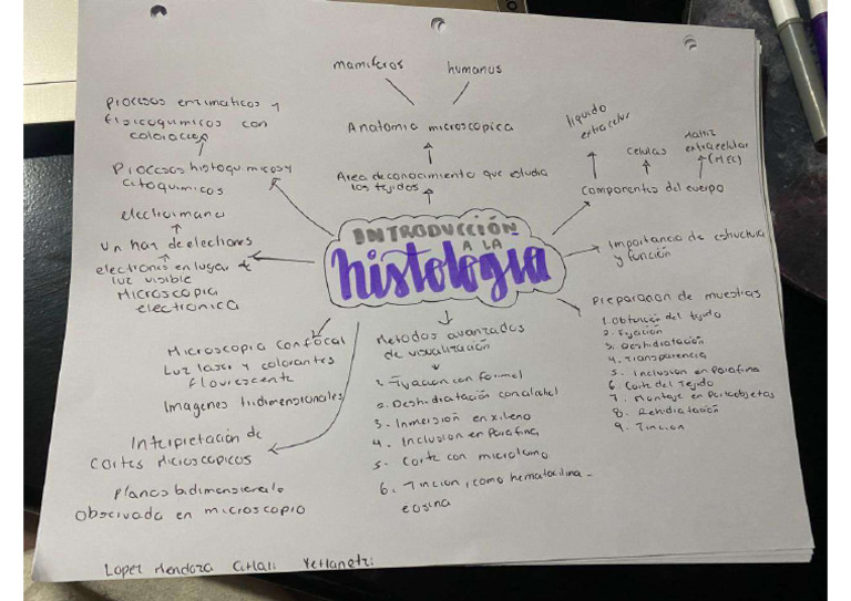 Mapa Conceptual Pdf