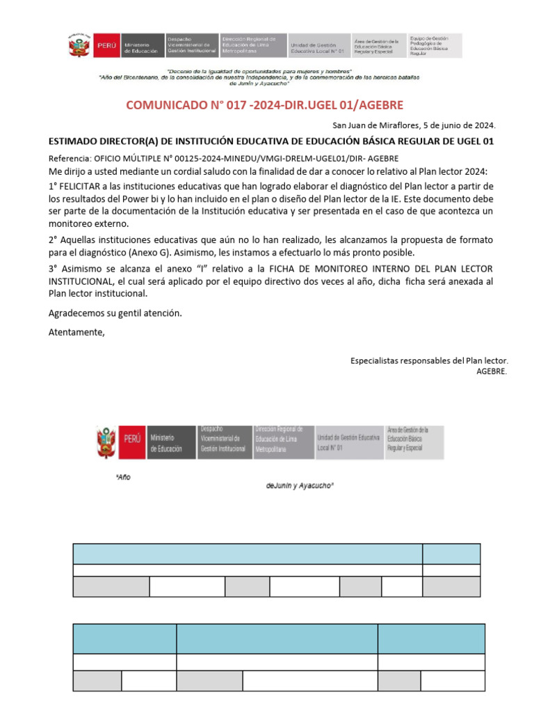 PLAN LECTOR FICHA MONITOREO Comunicado-N-017-2024-Dir-Ugel-01-Agebre-06-06-2024 | PDF