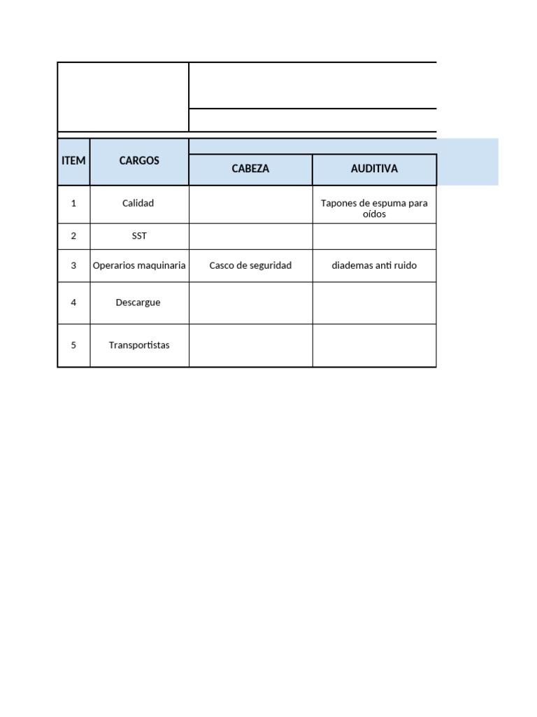 Matriz de Epp Por Cargos Ejem | PDF
