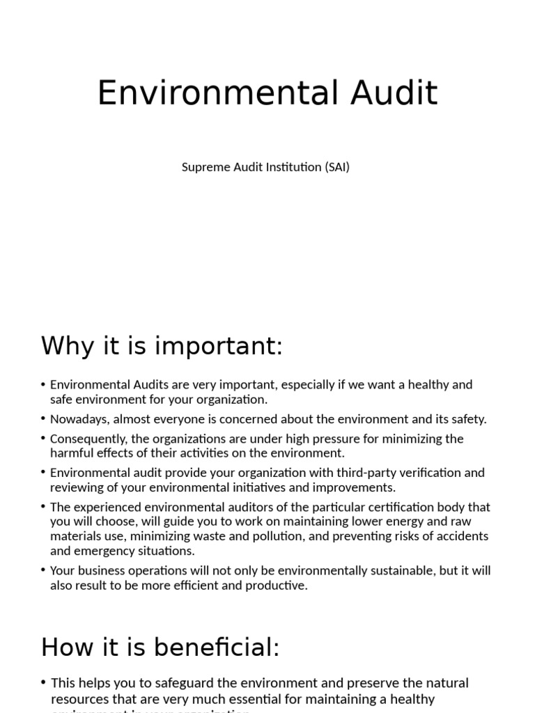 Environmental Audit | PDF