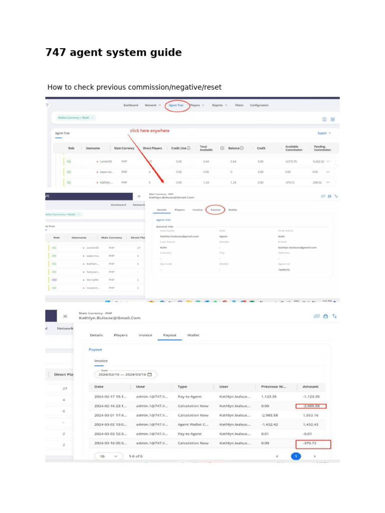 747 Agent System Guide | PDF