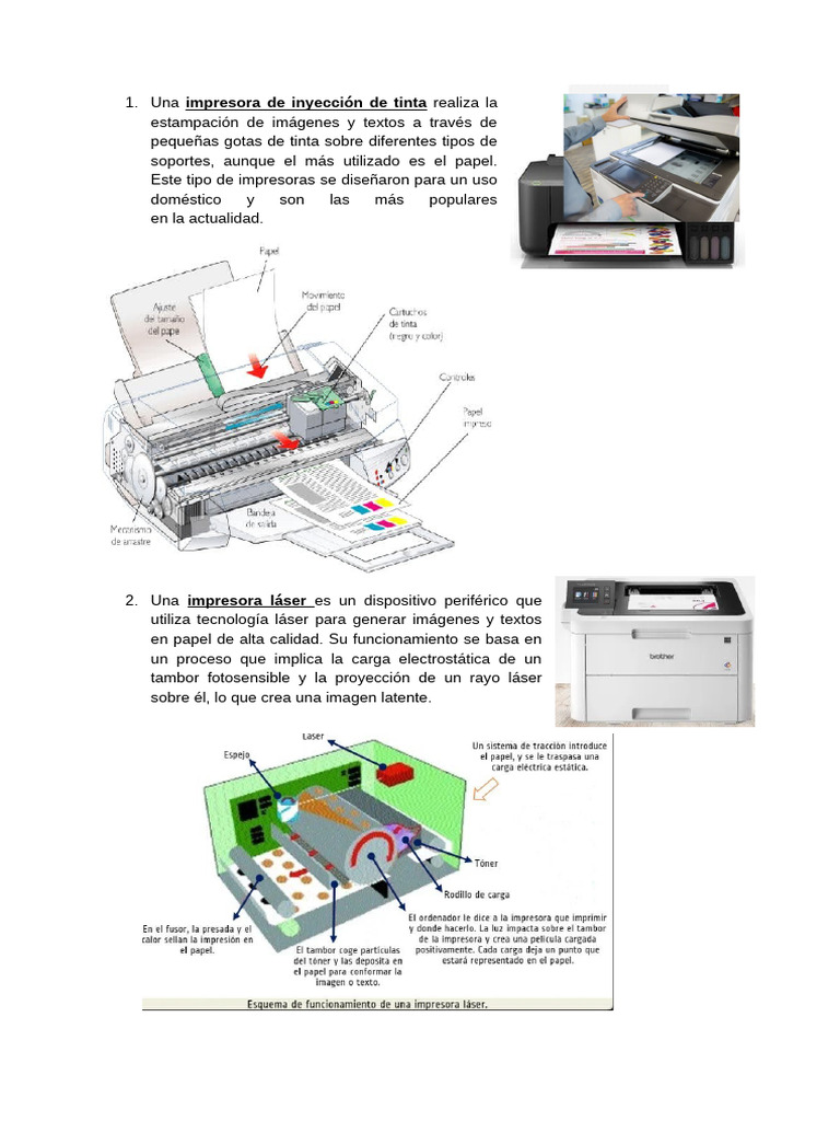 Impresoras Mas Comunes | PDF