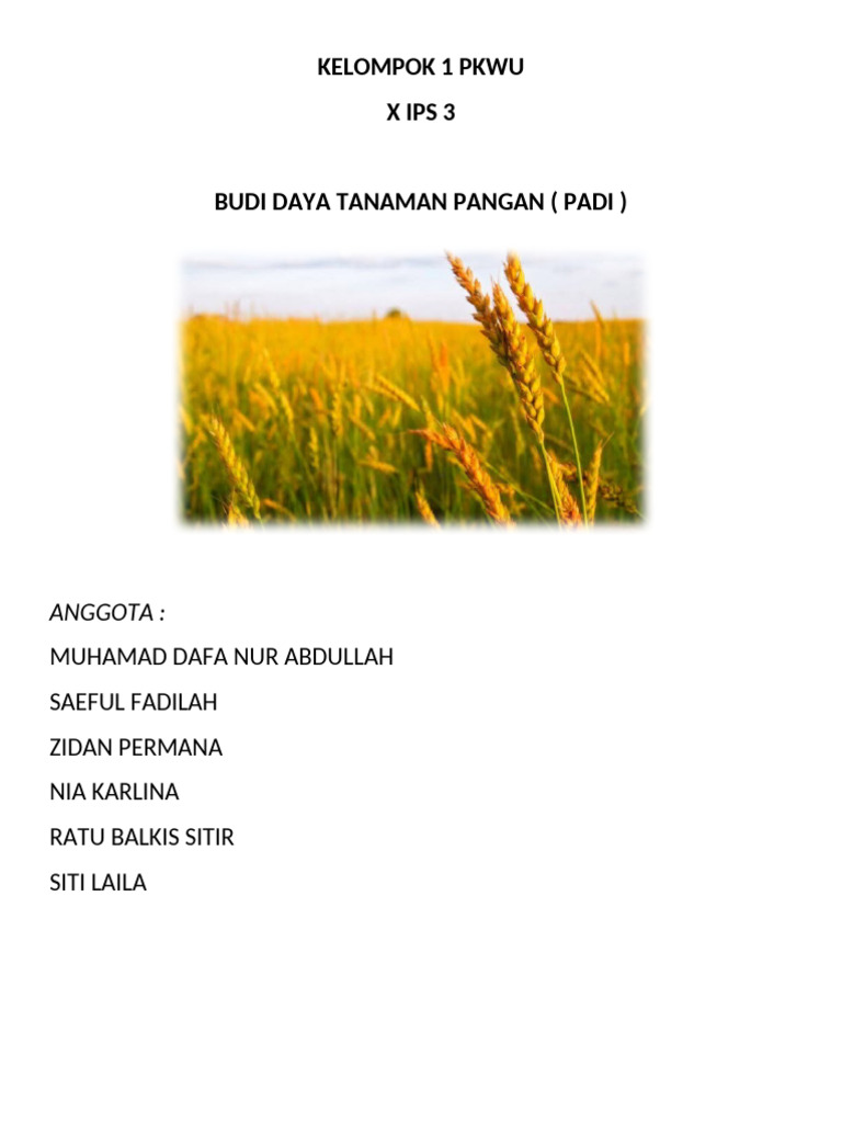 Kelompok 1 Pkwu | PDF