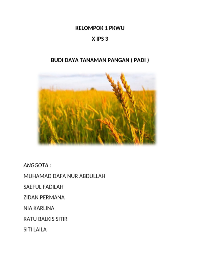 Kelompok 4 - Tugas PKWU | PDF