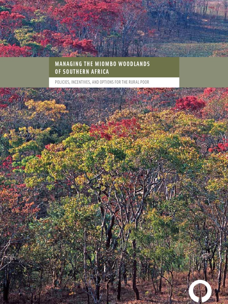 Managing The Miombo Woodlands Of Southern Africa Pdf Deforestation