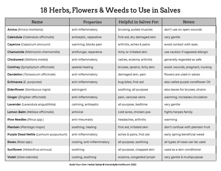 18 Herbs To Use Chart | PDF | Lavandula | Medicinal Plants