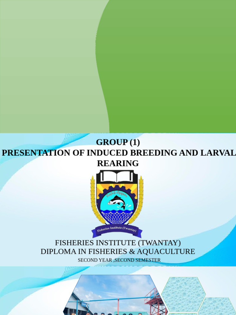 Group (I) Presentation - 123 | PDF